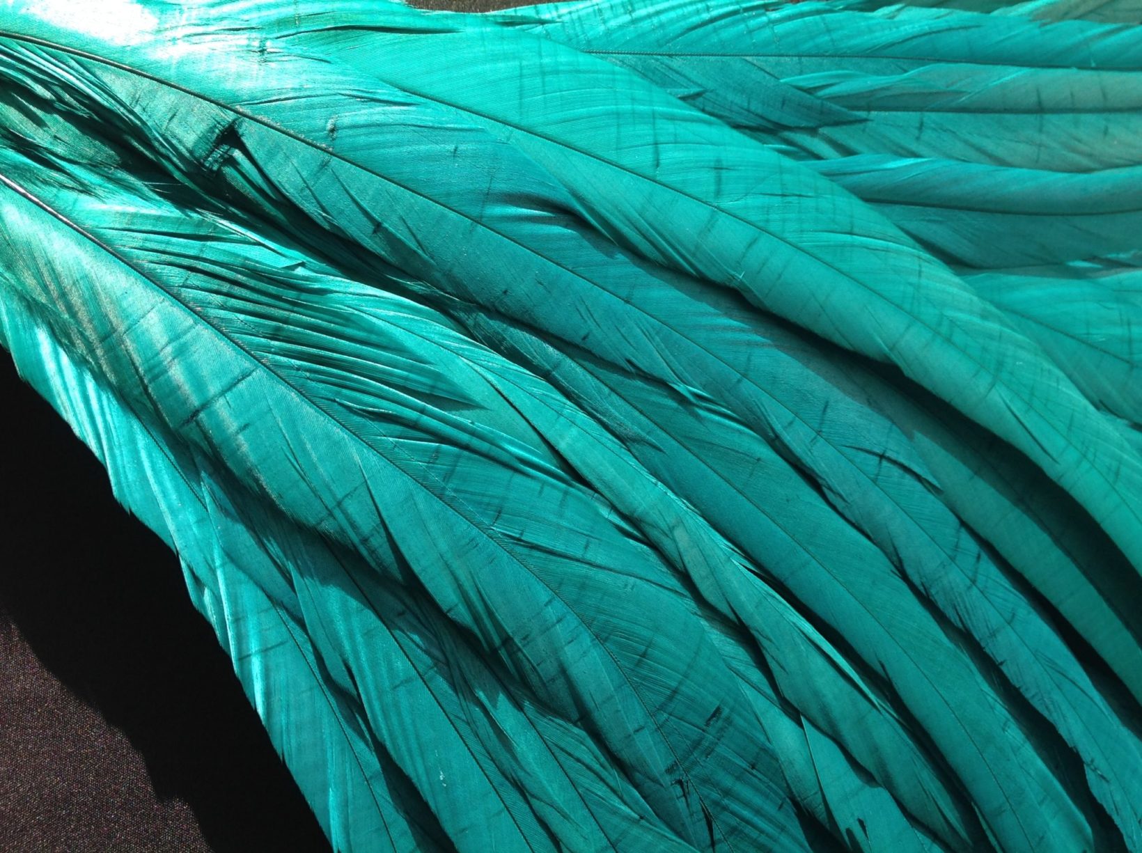 Teal Green Rooster Feathers Long - Delicia Feathers